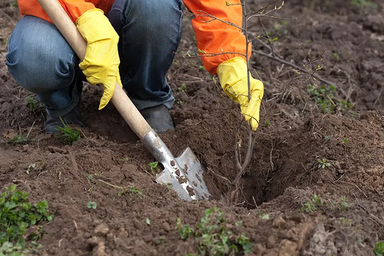 Unearthing the Truth: Is Mud Jacking Worth It in Long Island, Queens ...