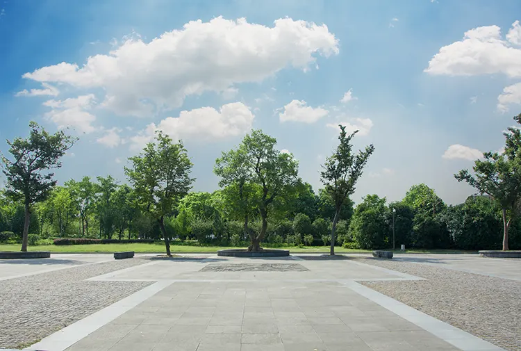 Sidewalk Driveway: Ensuring Safe and Durable Pathways in Long Island ...